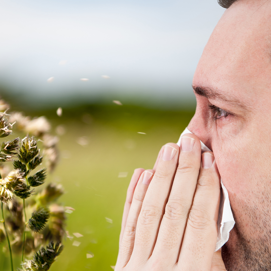 Pollenallergie Nachts Am Schlimmsten